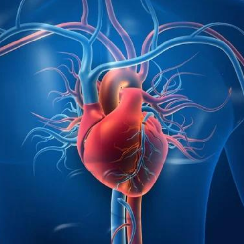 Comprehensive Guide to Heart Disease - DBMCI